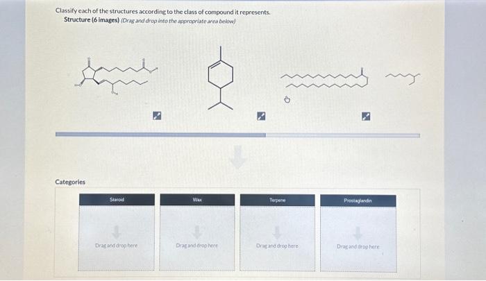 Solved Classify each of the structures according to the | Chegg.com