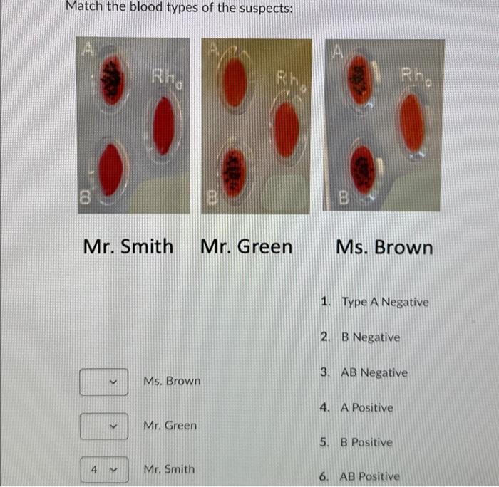 Solved Match the blood types of the suspects: CO Mr. Smith > | Chegg.com
