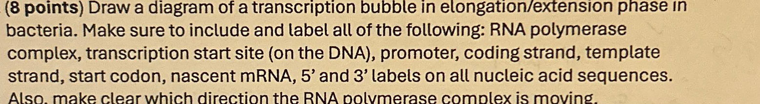 Solved (8 ﻿points) ﻿Draw a diagram of a transcription bubble | Chegg.com