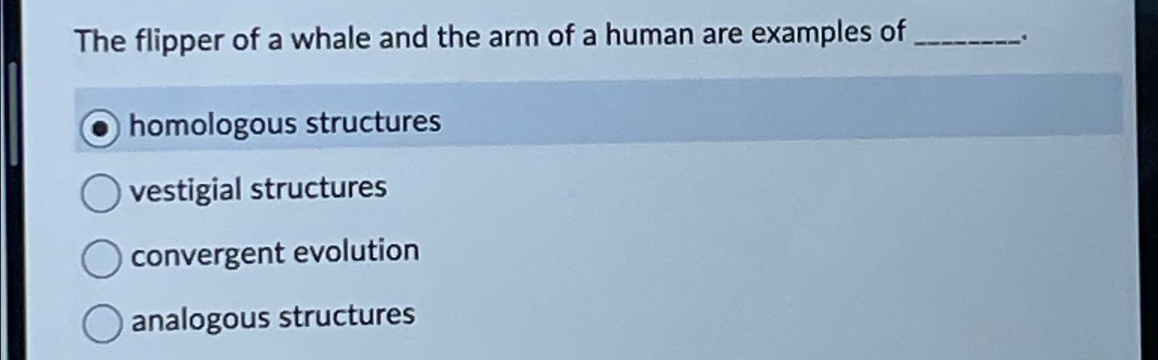 Solved The flipper of a whale and the arm of a human are | Chegg.com
