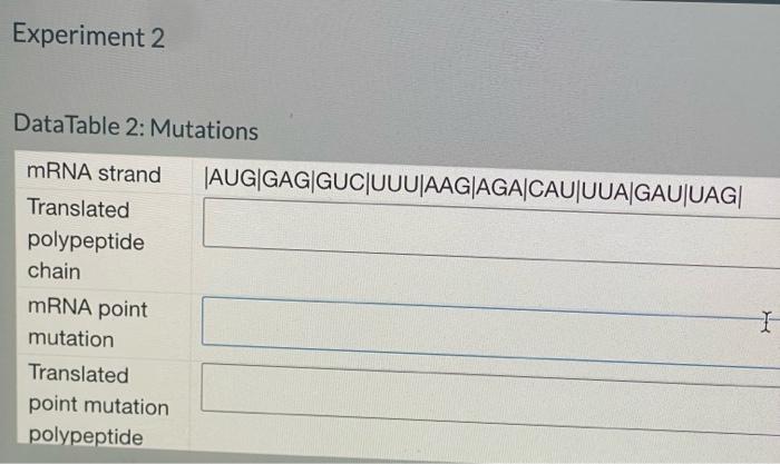 Solved Experiment 2 DataTable 2: Mutations Experiment | Chegg.com