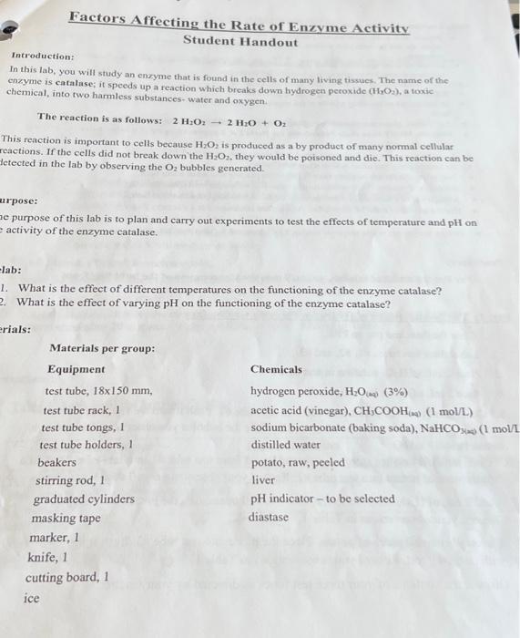 Solved Factors Affecting the Rate of Enzyme Activity Student | Chegg.com