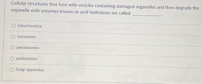 Solved Cellular structures that fuse with vesicles | Chegg.com