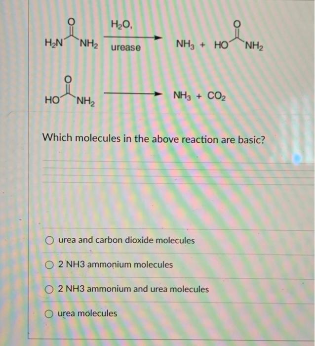 Solved H2O, 9 NH3 + HO NH2 H N NH2 urease O HO NH2 NH3 + CO2 | Chegg.com