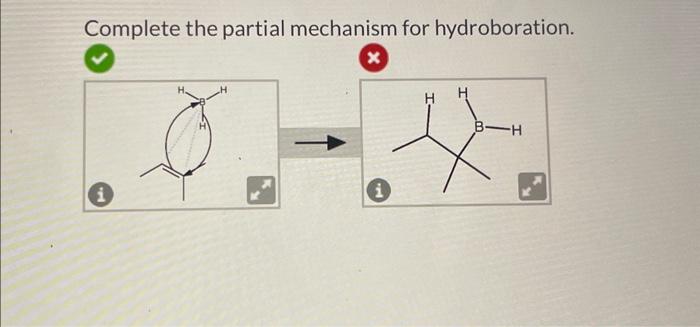 Solved Which atom in the nucleophile will bond to the | Chegg.com