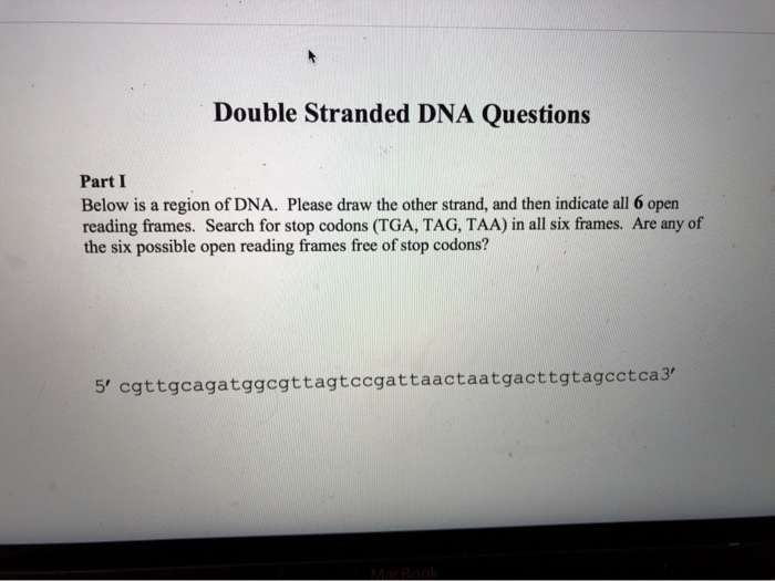 Solved Double Stranded DNA Questions Part I Below is a | Chegg.com