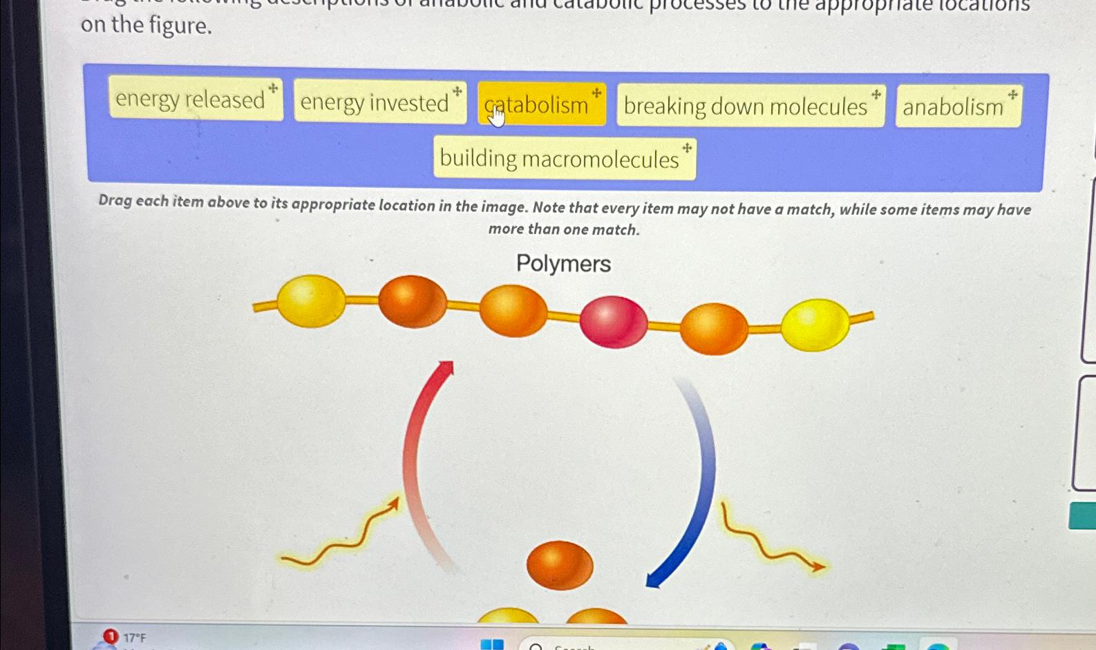 Solved on the figure.energy releasedenergy | Chegg.com