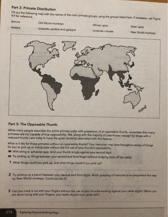 Part 2: Primate Distribution Fill out the following | Chegg.com