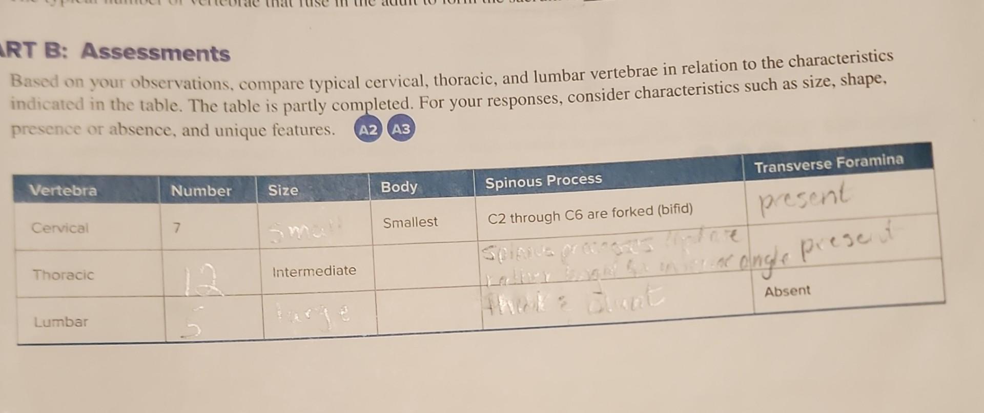 Solved RT B: Assessments Based on your observations, compare | Chegg.com