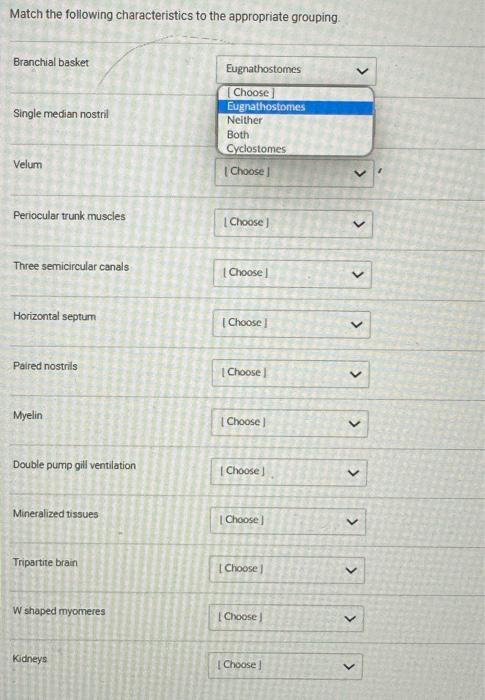Solved Match the following characteristics to the | Chegg.com