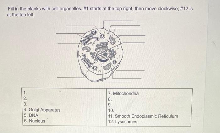 Solved Fill in the blanks with cell organelles. #1 starts at | Chegg.com