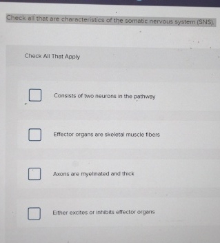 Solved Check all that are characteristics of the somatic | Chegg.com