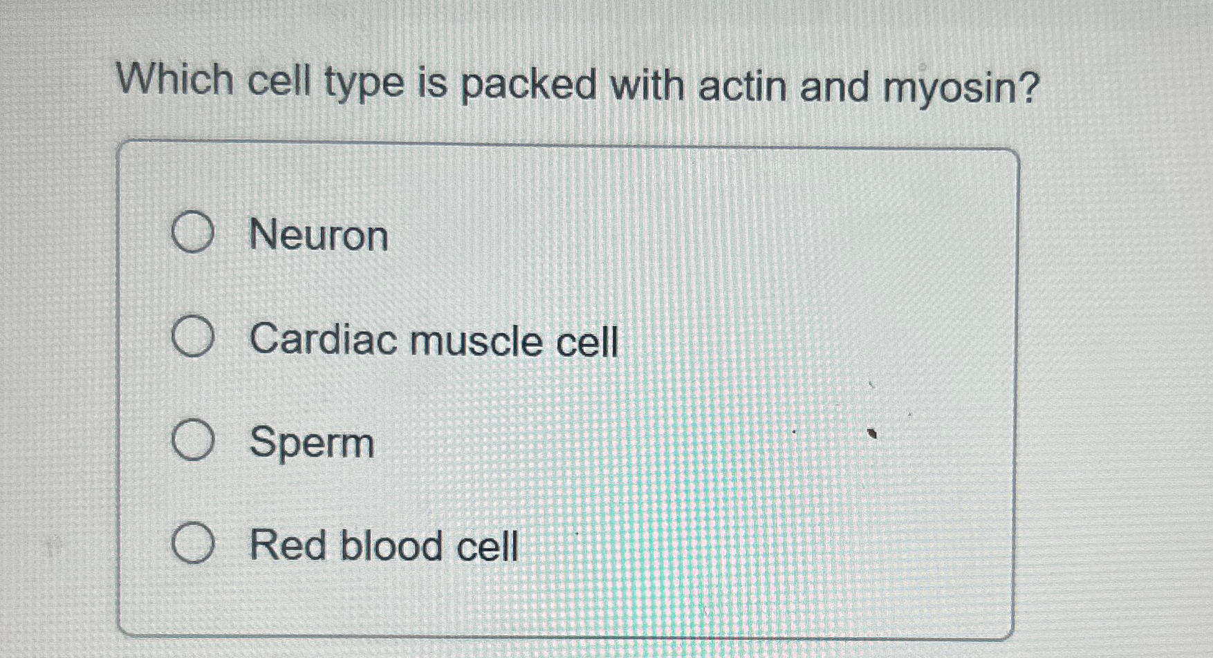 Solved Which cell type is packed with actin and | Chegg.com