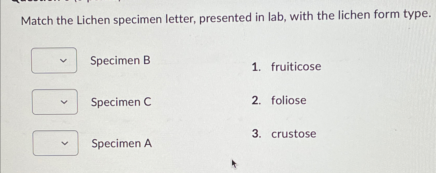 Solved Match the Lichen specimen letter, presented in lab, | Chegg.com