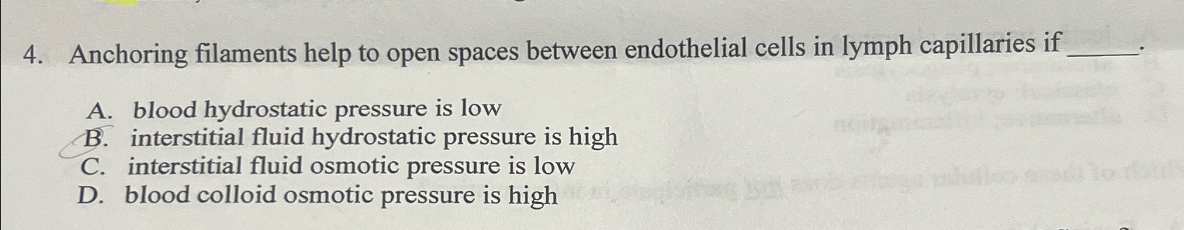 Solved Anchoring filaments help to open spaces between | Chegg.com