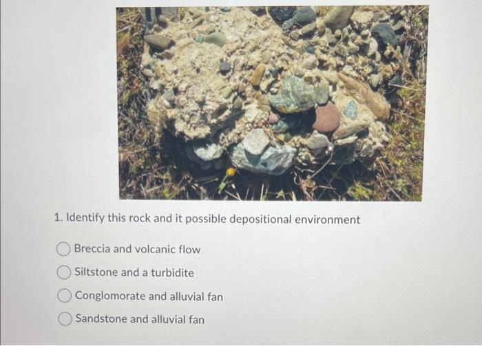 Solved 1 Identify This Rock And It Possible Depositional