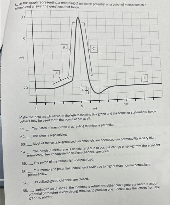 Solved study this graph representing a recording of an | Chegg.com
