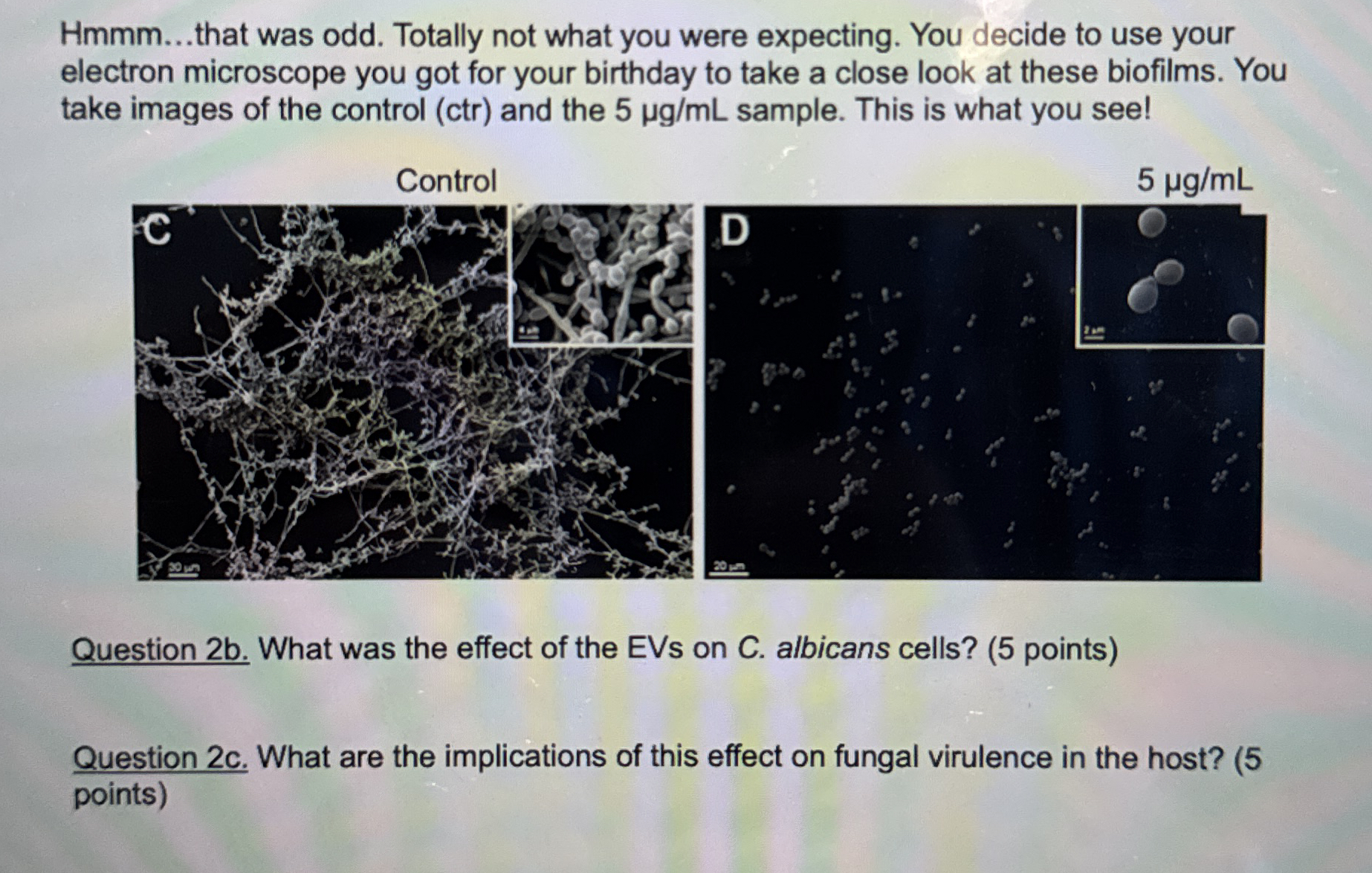 Solved Hmmm...that was odd. Totally not what you were | Chegg.com