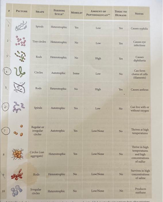 1. You're going to create a phenogram to classify the | Chegg.com
