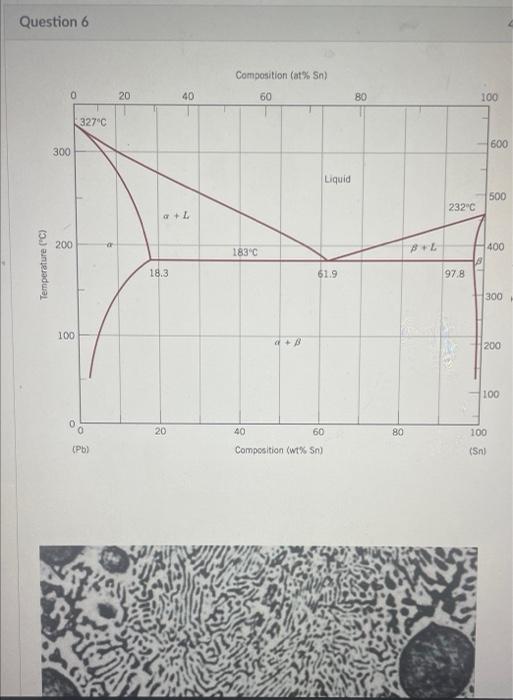 Solved Question 6Figure 9.17 Photomicrograph showing the | Chegg.com