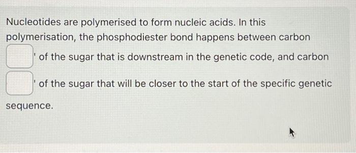 Solved Nucleotides are polymerised to form nucleic acids. In | Chegg.com