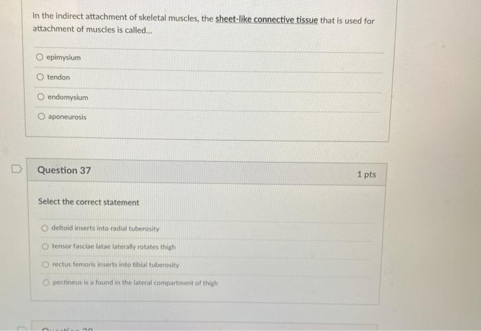 Solved In the indirect attachment of skeletal muscles, the | Chegg.com
