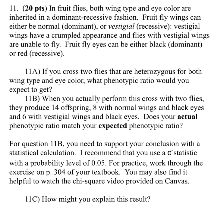Solved 11. (20 pts) In fruit flies, both wing type and eye | Chegg.com