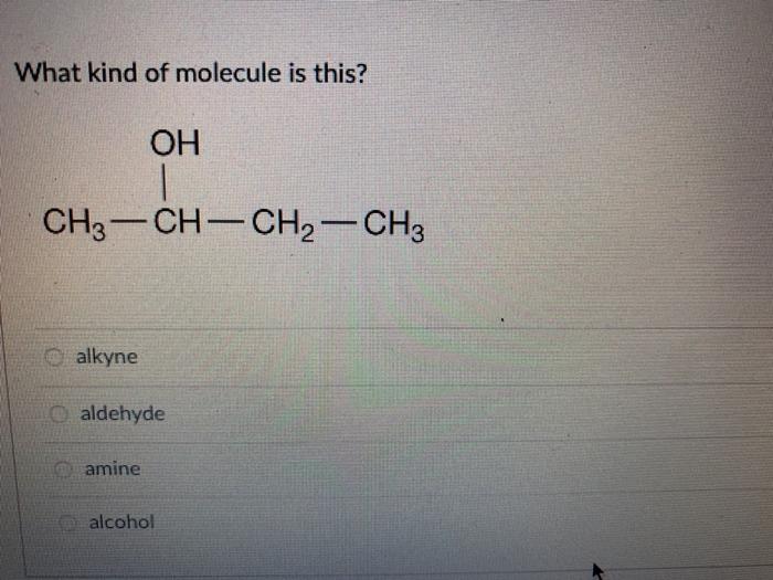 Solved What kind of molecule is this? OH CH3 -CH-CH2-CH3 | Chegg.com