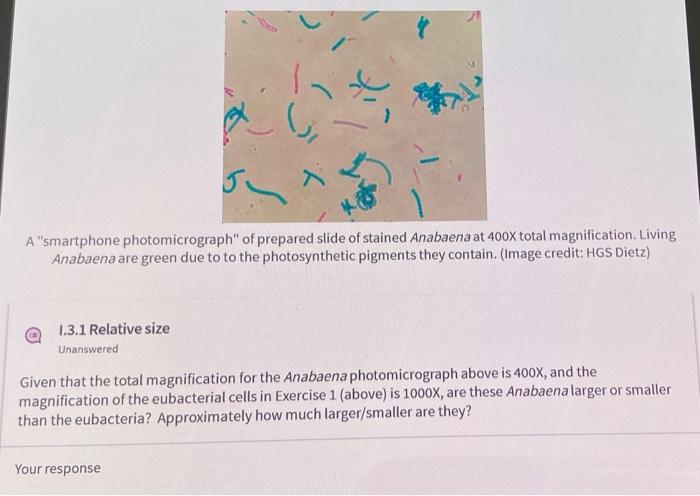 Solved ر) کا A "smartphone photomicrograph" of prepared | Chegg.com