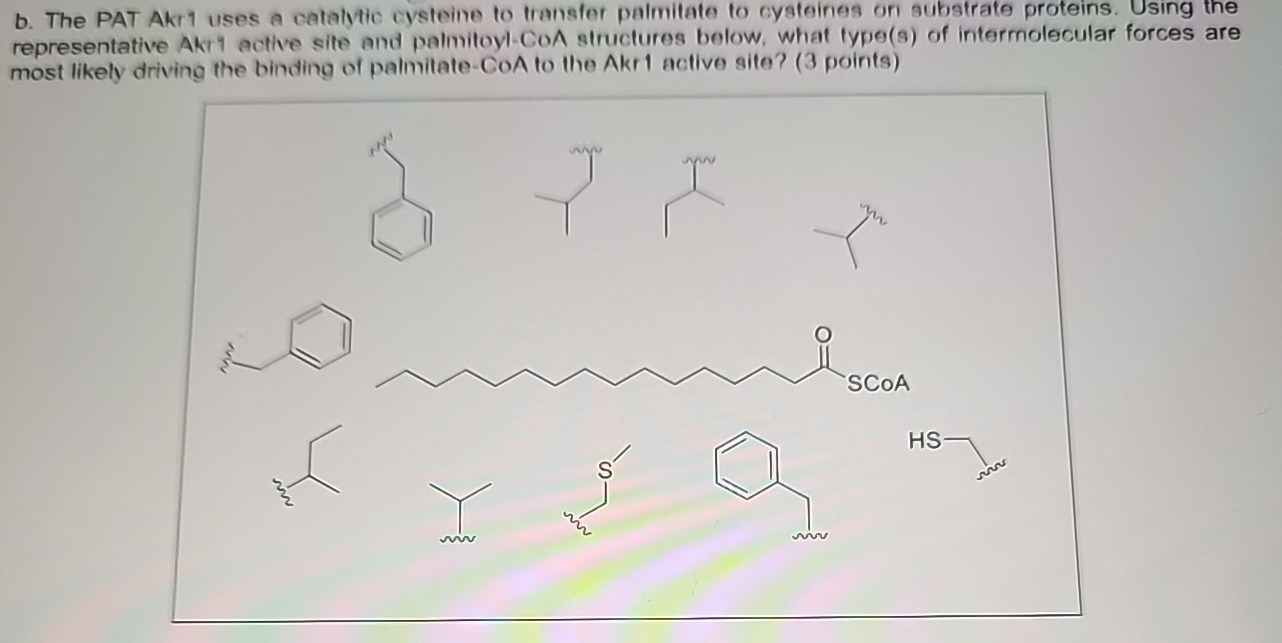 Solved How to solve b. ﻿The PAT Akr 1 ﻿uses a catalytic | Chegg.com