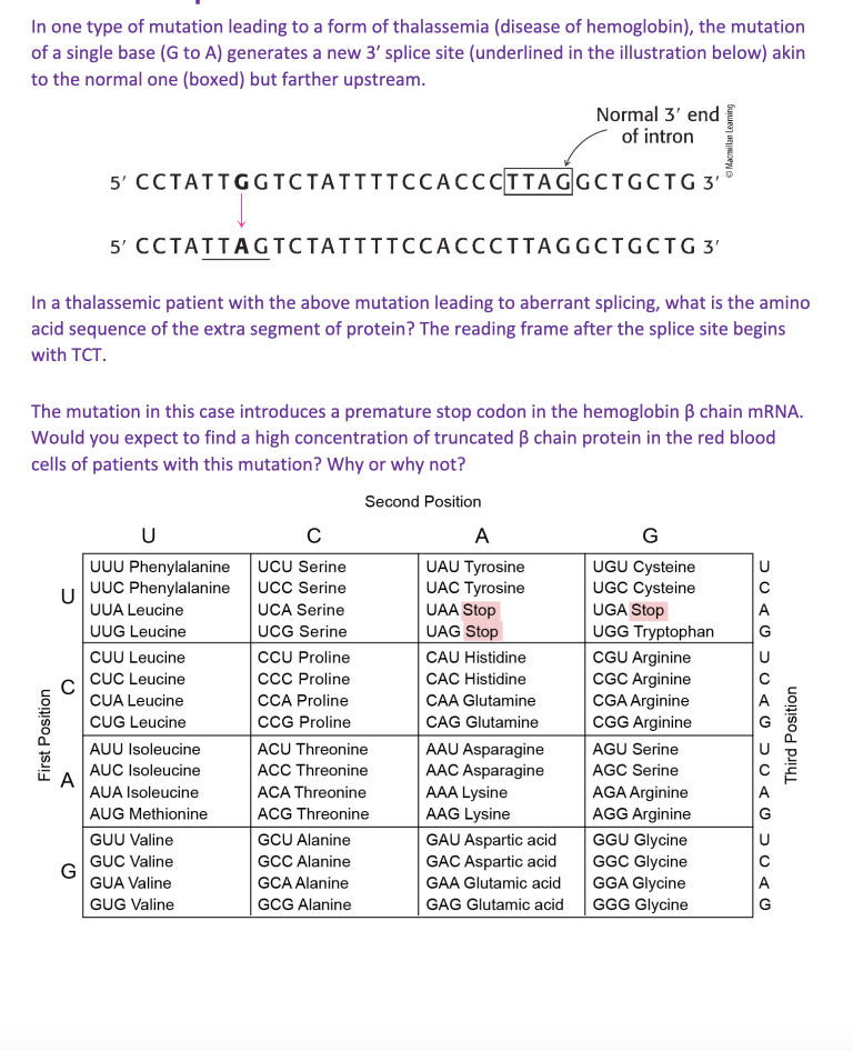 Solved In one type of mutation leading to a form of | Chegg.com