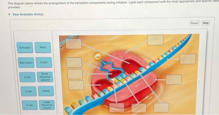 Solved The diagram below shows the arrangement of the | Chegg.com