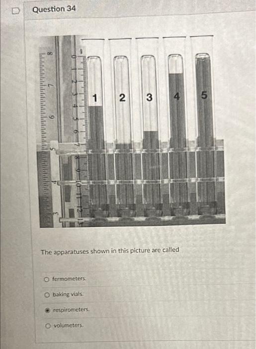 Solved Question 21 These Elodea cells are showing O | Chegg.com