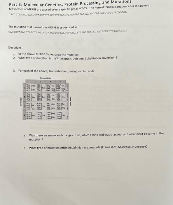 Solved Questions: 1. In the above MERRF Gene, circle the | Chegg.com
