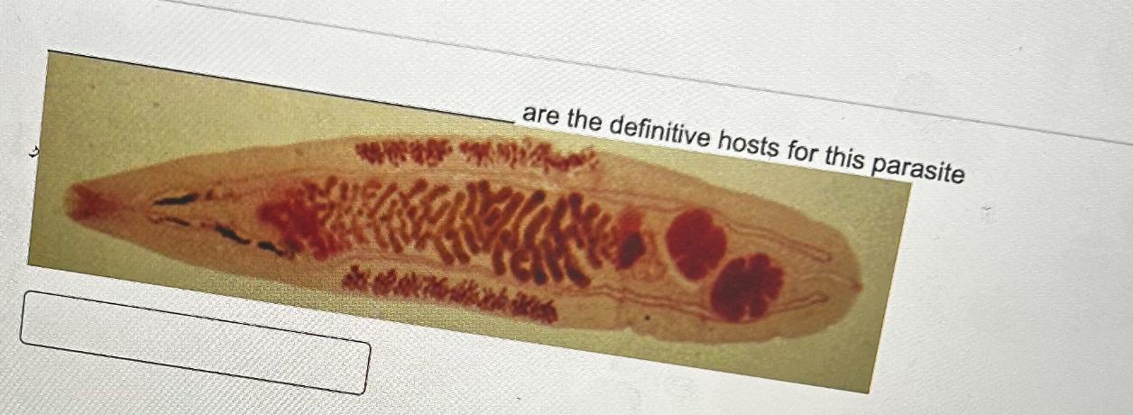 Solved are the definitive hosts for this parasite | Chegg.com