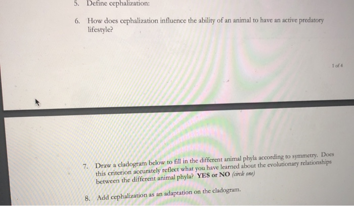 Solved 5. Define cephalization: 6. How does cephalization | Chegg.com