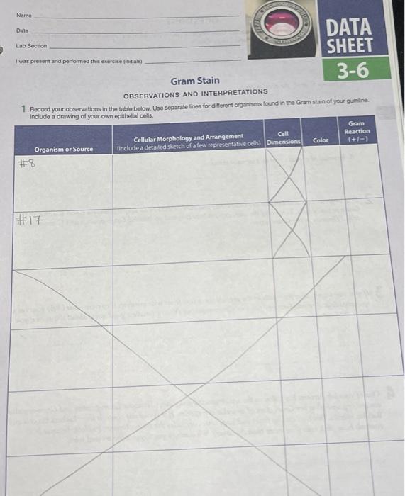 Name Date Lab section I was present and performed | Chegg.com