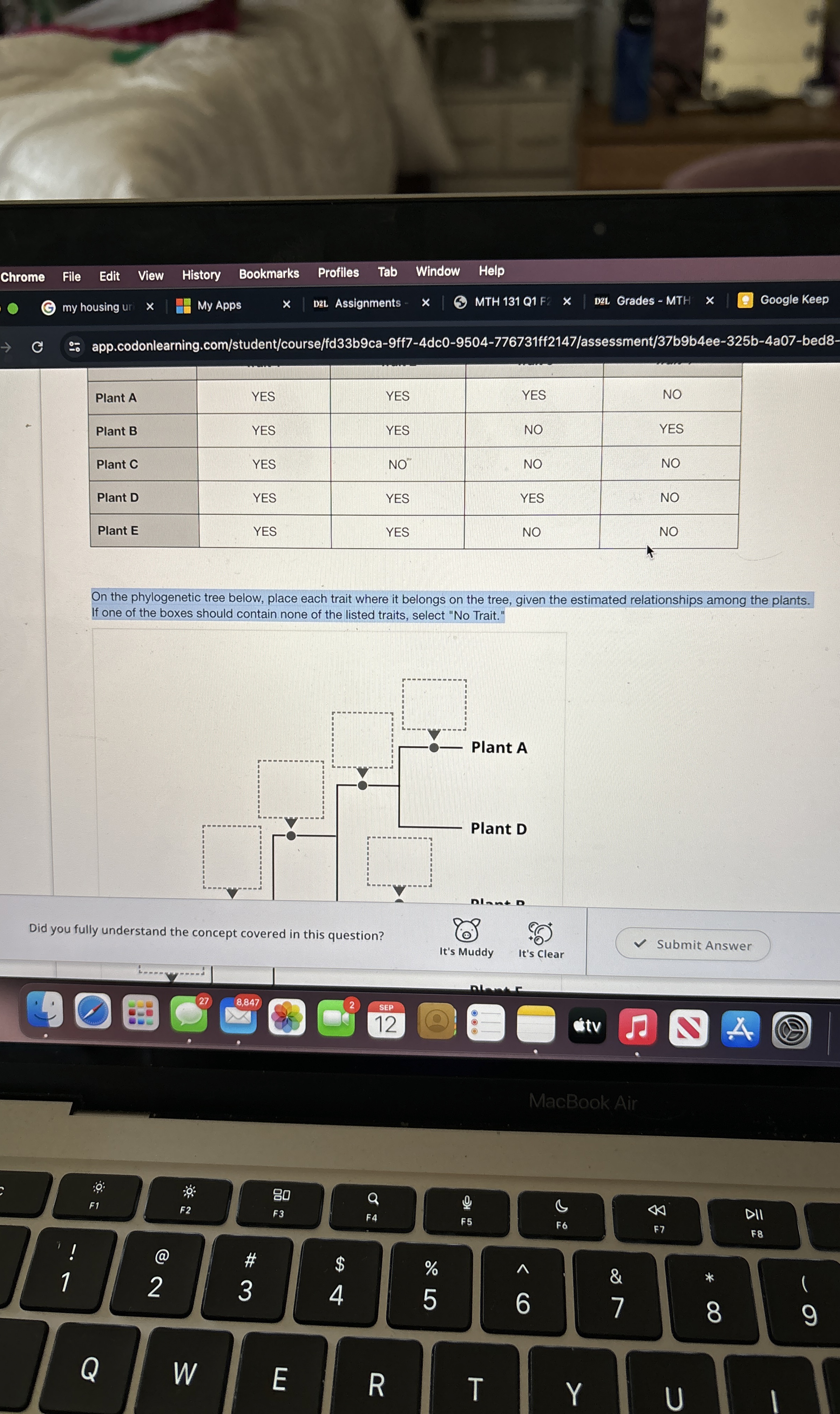 Solved On the phylogenetic tree below, place each trait | Chegg.com