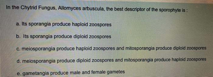 Solved In the Chytrid Fungus, Allomyces arbuscula, the best | Chegg.com