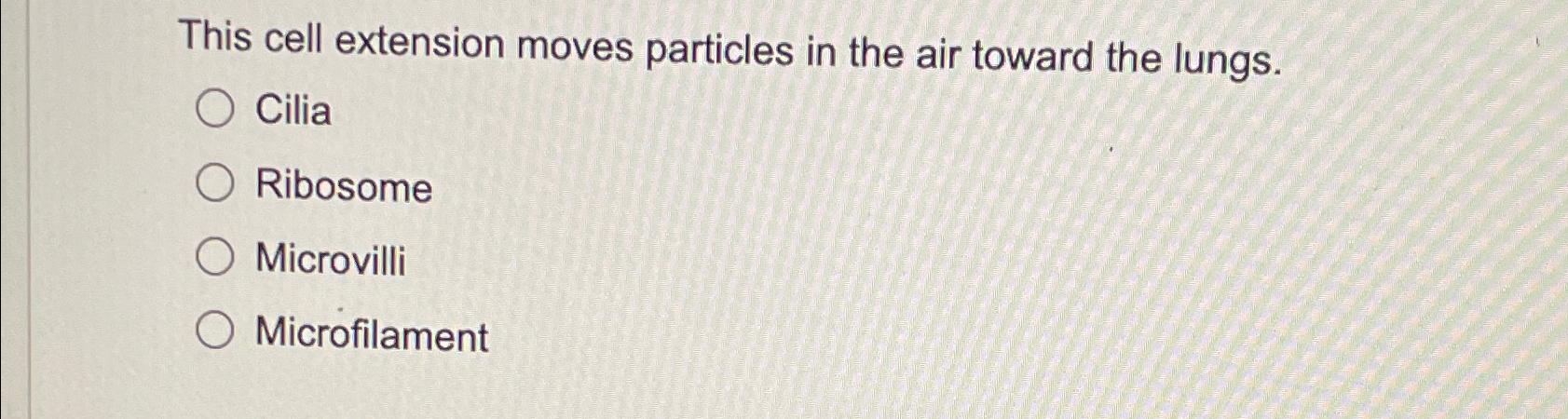 Solved This cell extension moves particles in the air toward | Chegg.com