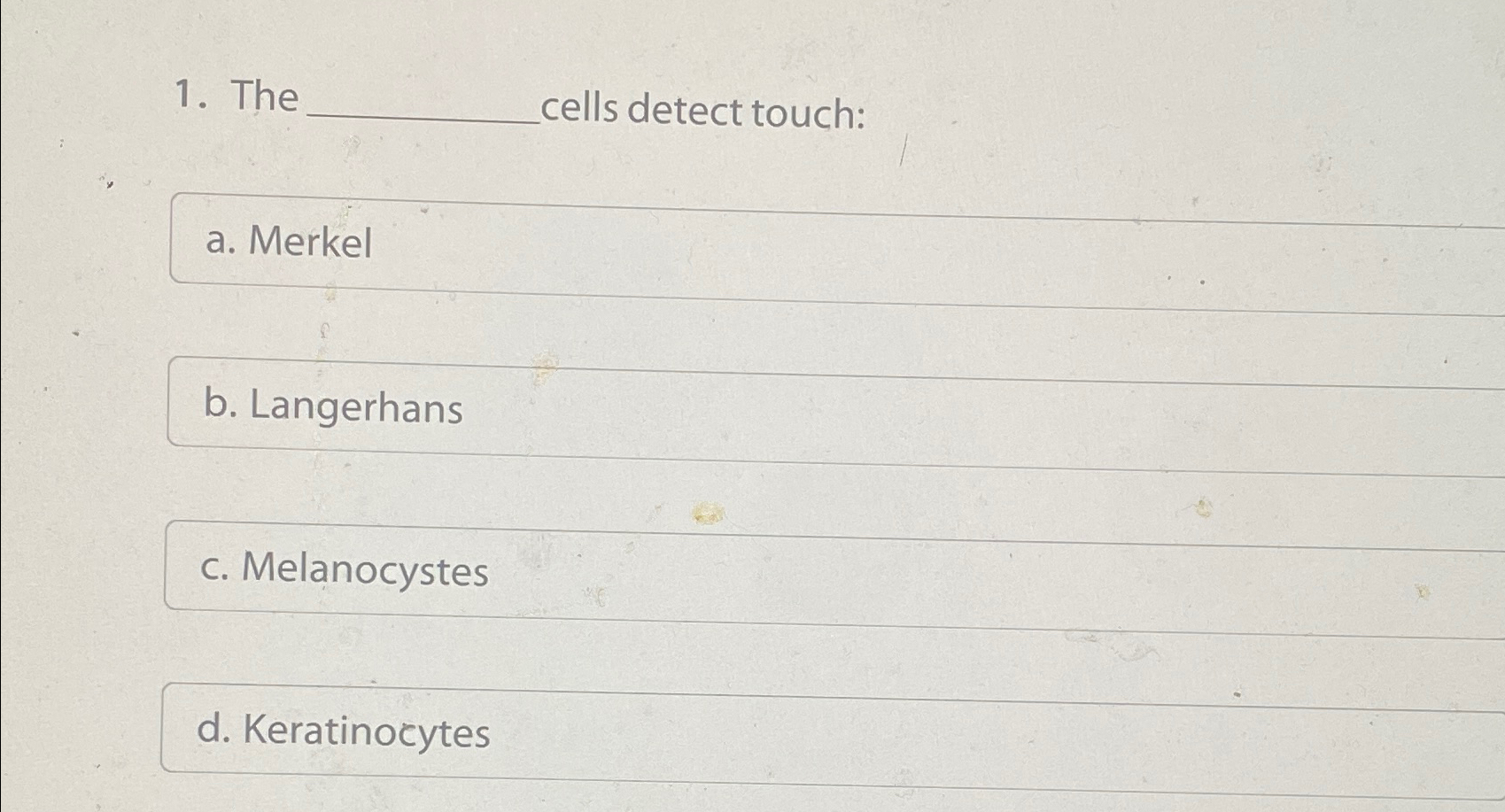 Solved The ﻿cells detect touch:a. ﻿Merkelb. ﻿Langerhansc. | Chegg.com