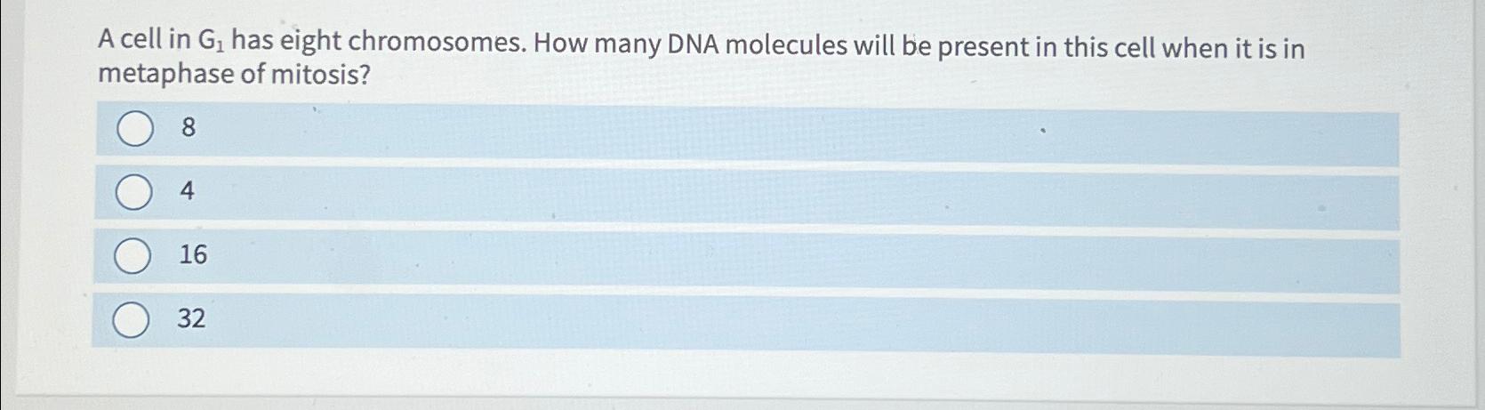 Solved A cell in G1 ﻿has eight chromosomes. How many DNA | Chegg.com