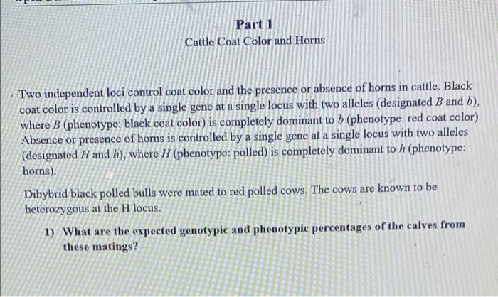 Solved Part 2 Chicken Leg Feathering and Comb Shape Two | Chegg.com