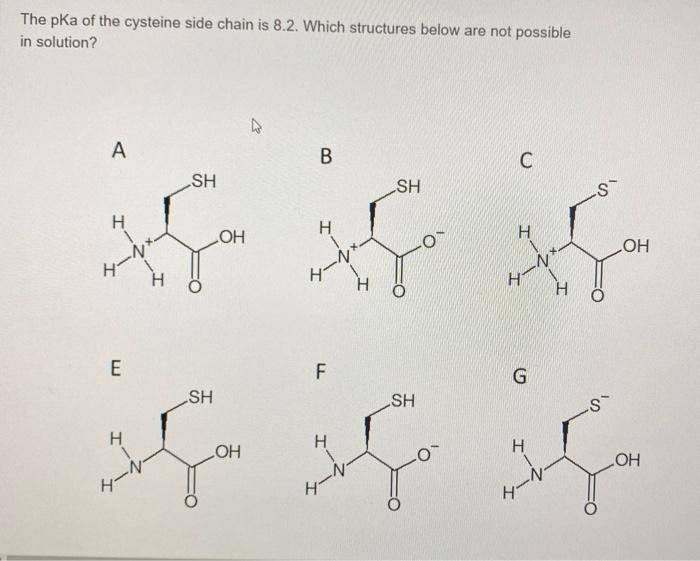 Solved The pKa of the cysteine side chain is 8.2. Which | Chegg.com