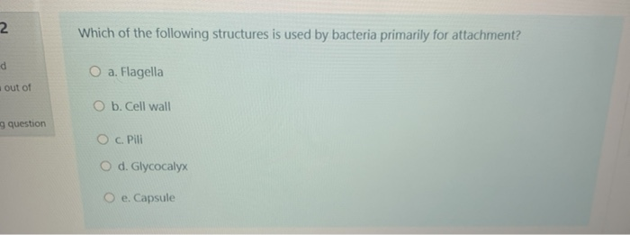 Solved Which of the following statements regarding bacteria | Chegg.com