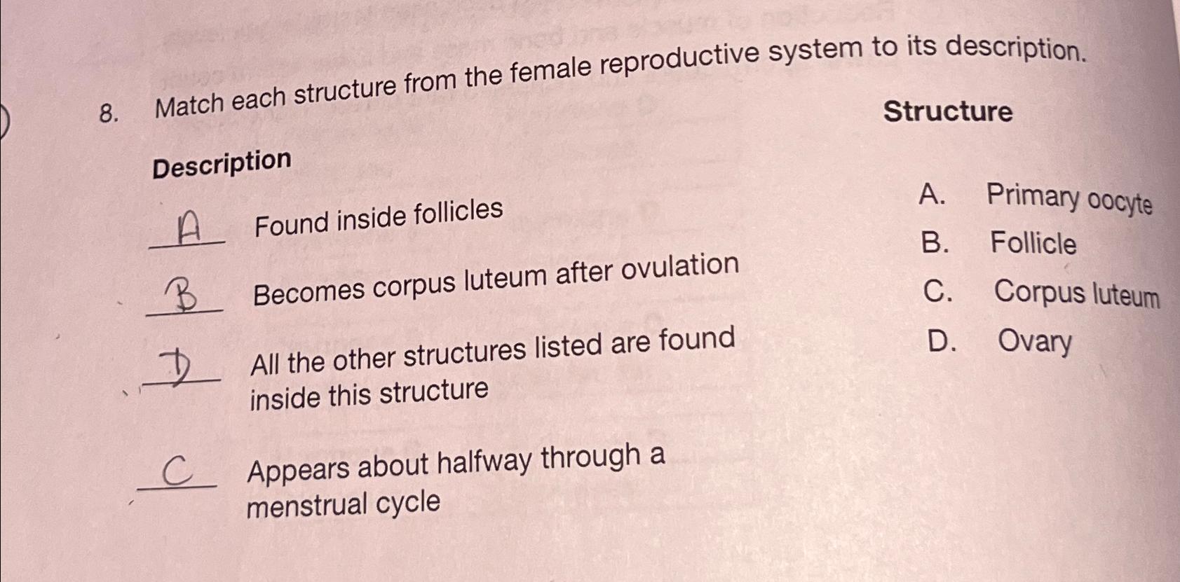 Solved Match each structure from the female reproductive | Chegg.com