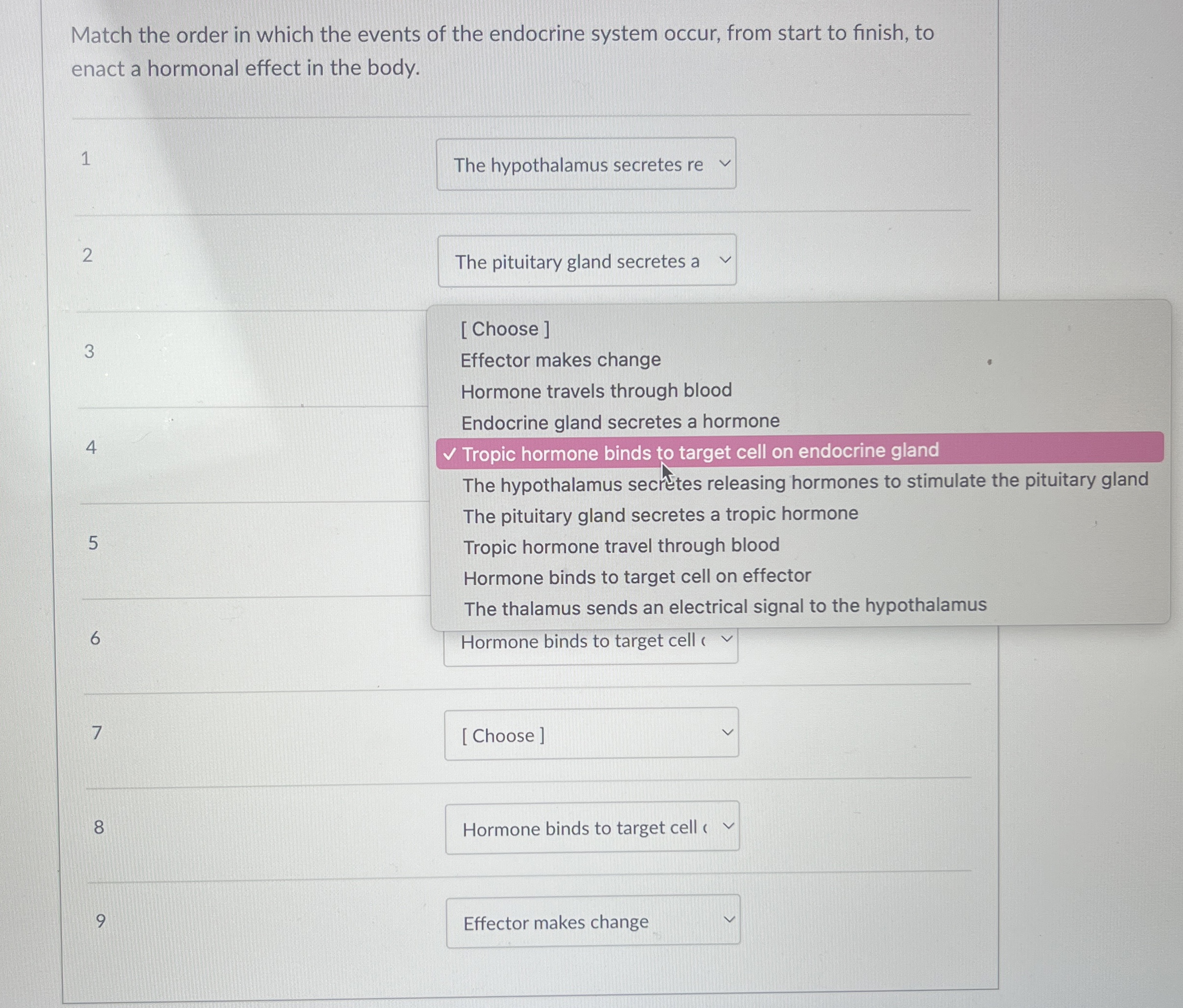 Solved Match the order in which the events of the endocrine | Chegg.com
