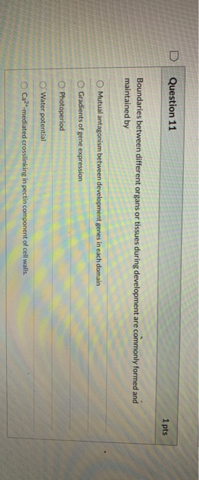 Solved Question 11 1 pts Boundaries between different organs | Chegg.com