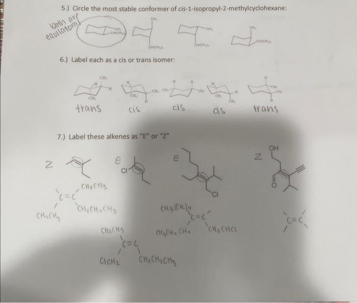 Solved 5.) Circle the most stable conformer of | Chegg.com