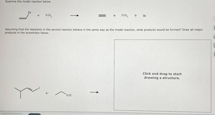 Examine the model reaction below. +NH3+Br Assuming | Chegg.com
